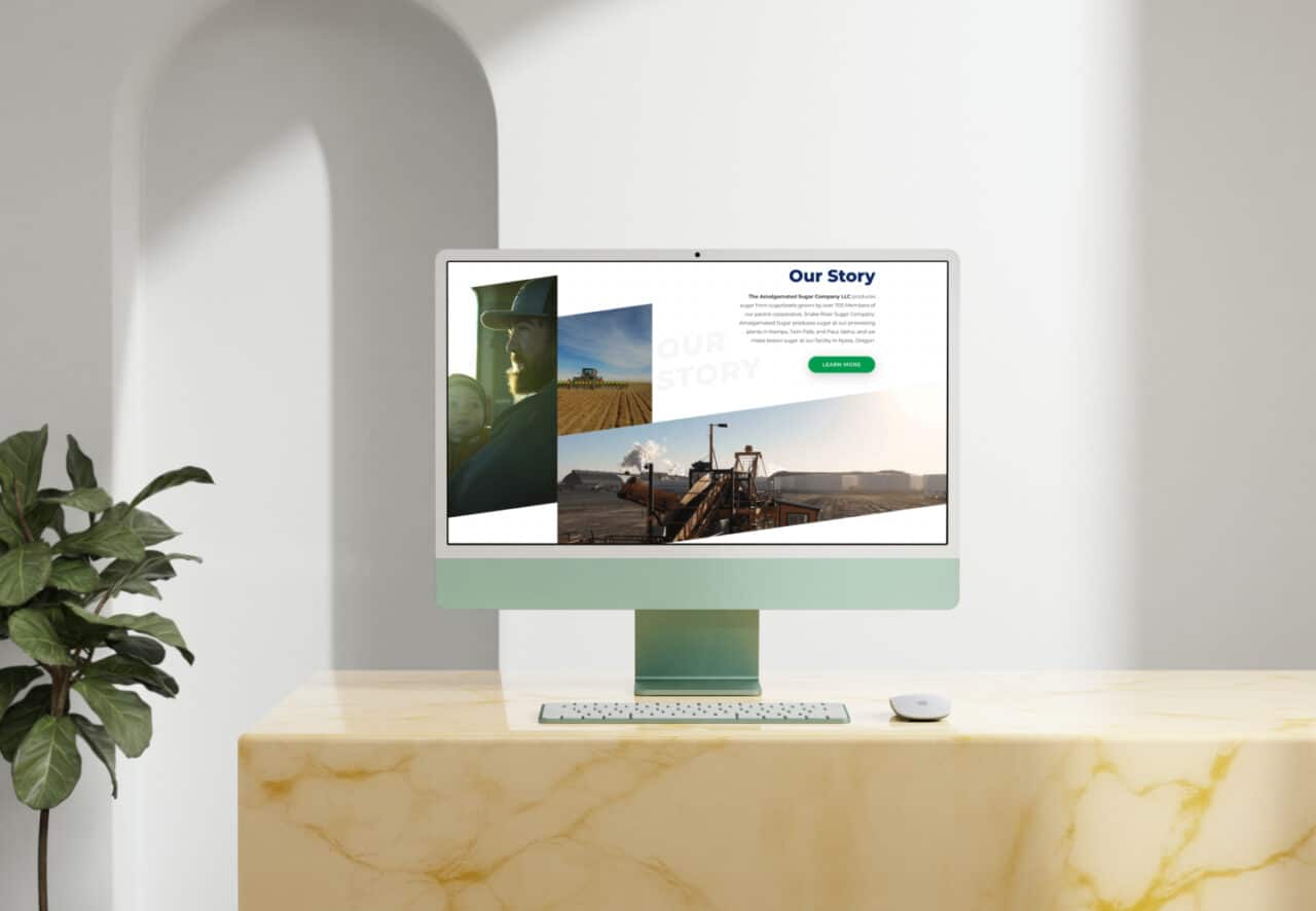 RoePaint.com - Redfox Visual